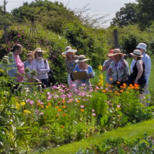 Summer Art Workshops For Adults - Nina Patterson Art